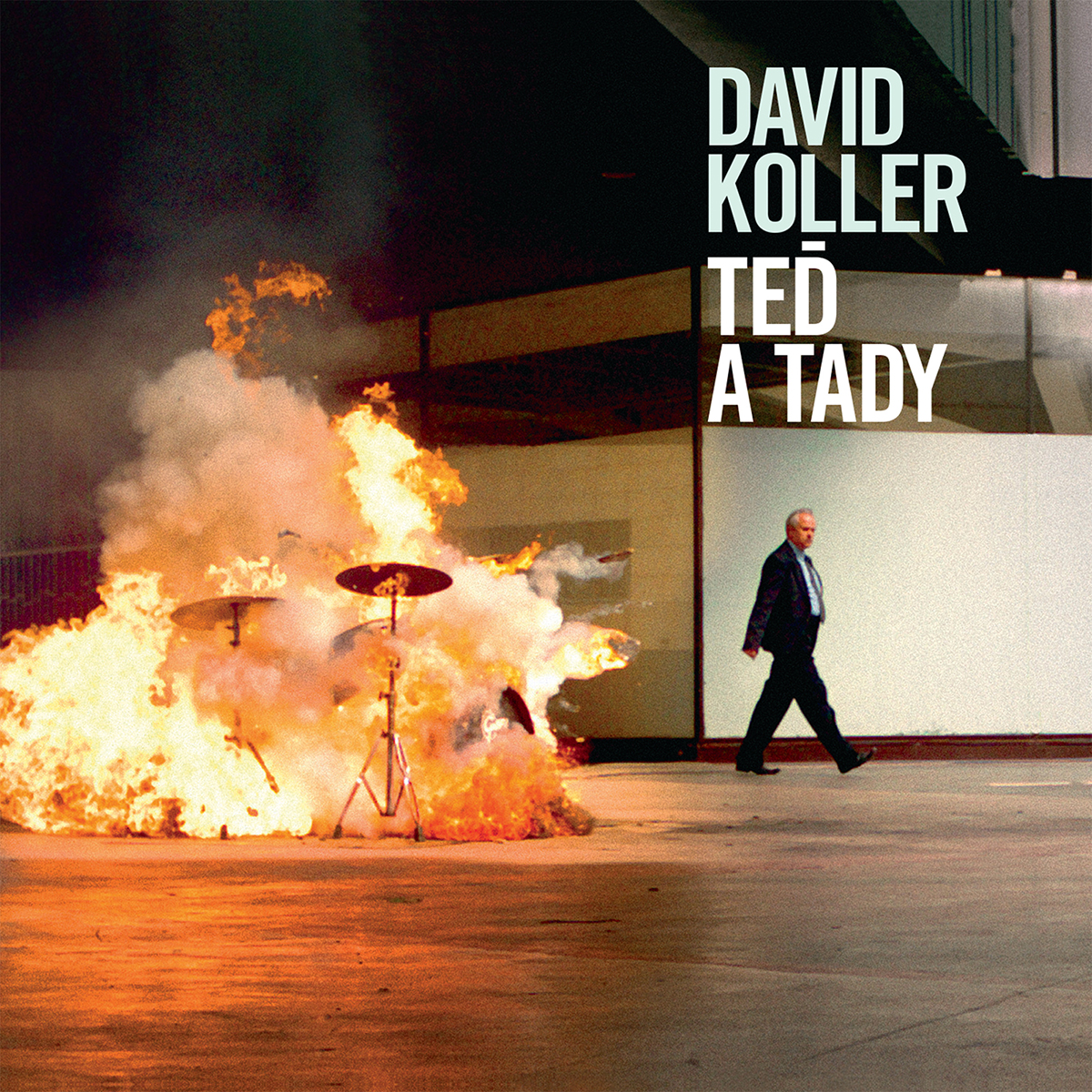 DAVID KOLLER